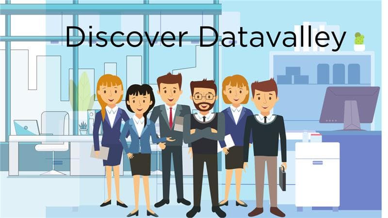 DataValley Careers